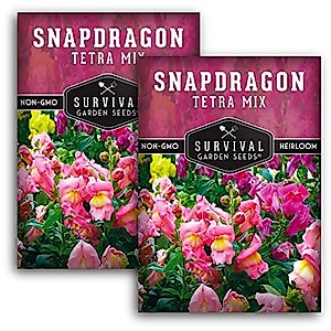 Survival Garden Seeds - Snapdragon Tetra Mix Seed for Planting - 2 Packs with Instructions to Plant and Grow Beautiful Colorful Flowers in Your Home Vegetable Garden - Non-GMO Heirloom Variety
