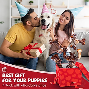 WAGS PET 4 Pack Dog Chew Toys for Aggressive Chewers, Indestructible Dog Toys for Medium Large Breed, Real Bacon Flavor, Tough and Durable Nylon Toy for Better Dental Care