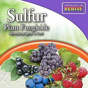 BONIDE Products INC 142 Sulfur Plant Fungicide Organically Controls Rust, Leaf Spot and Powdery Mildew, 4 lbs (2)