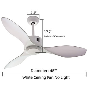 Goozegg Ceiling Fan No Light Remote Control Modern 3 Blades Reversible DC Motor, 48-inch, White