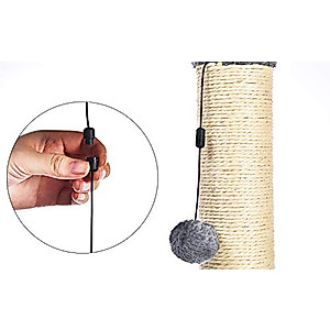 Amazon Basics Cat Scratching Post, Medium, 15.75" x 15.75" x 31.5"H, Grey