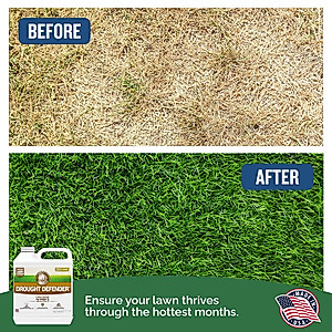 Turf Titan Drought Defender Hose End - Shields Heat and Nutrient Rich Plant Food - Ideal Summer Soil Liquid Fertilizer Promoting Healthy Green, Water-Conserving Turf Grass - Covers up to 8,000 Sq Ft