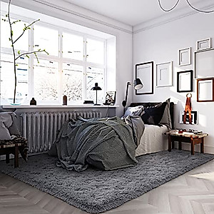 HOMORE Luxury Fluffy Area Rug for Bedroom Living Room Soft Carpets, Super Cute Comfortable Shag Rugs Modern Carpet for Kids Nursery Girls Home, 3x5 Feet Gray