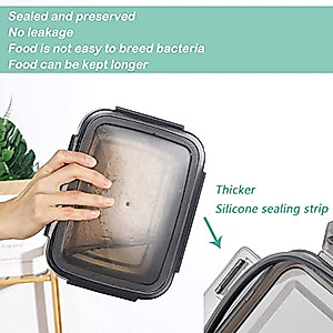 Stainless Steel Food Storage Container with Lids 3pcs set Leak-Proof Large Durable Bento salad container , Lunch Box, For Kimchi, Fruit and Salad -Home family, Picnic, Camping (Black Rectaugular)