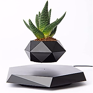BandD Floating Plant Pot - Levitating Plant Pot for Succulents, air Bonsai & air Plants. Floating Planter for Home, Office & Desk Levitating Decor. Magnetic Floating Levitating Display. (Black)
