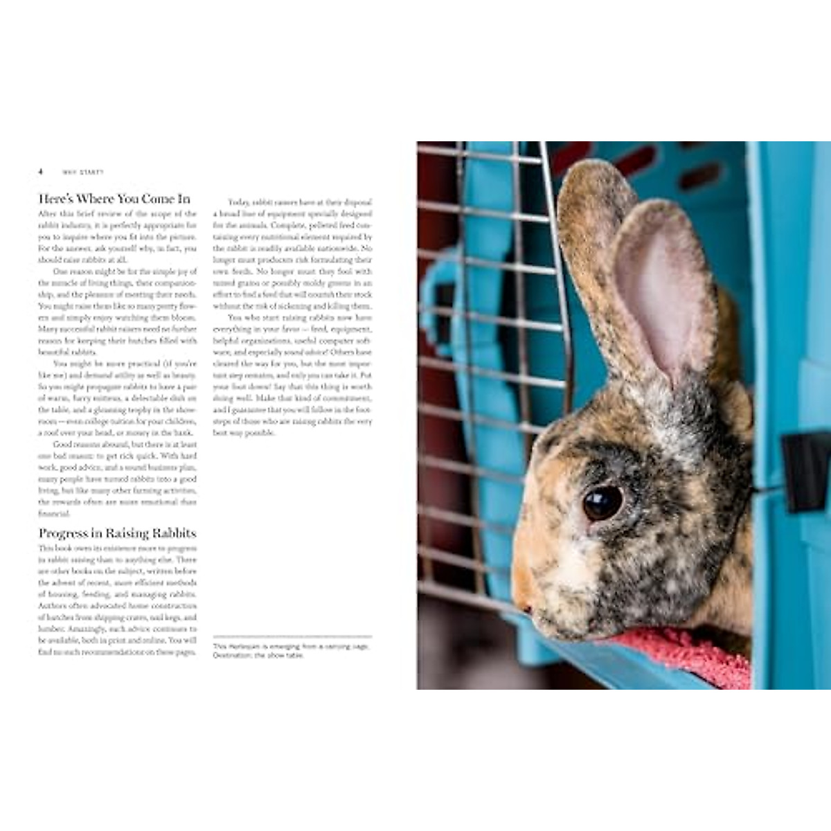 Storey's Guide to Raising Rabbits, 5th Edition: Breeds, Care, Housing
