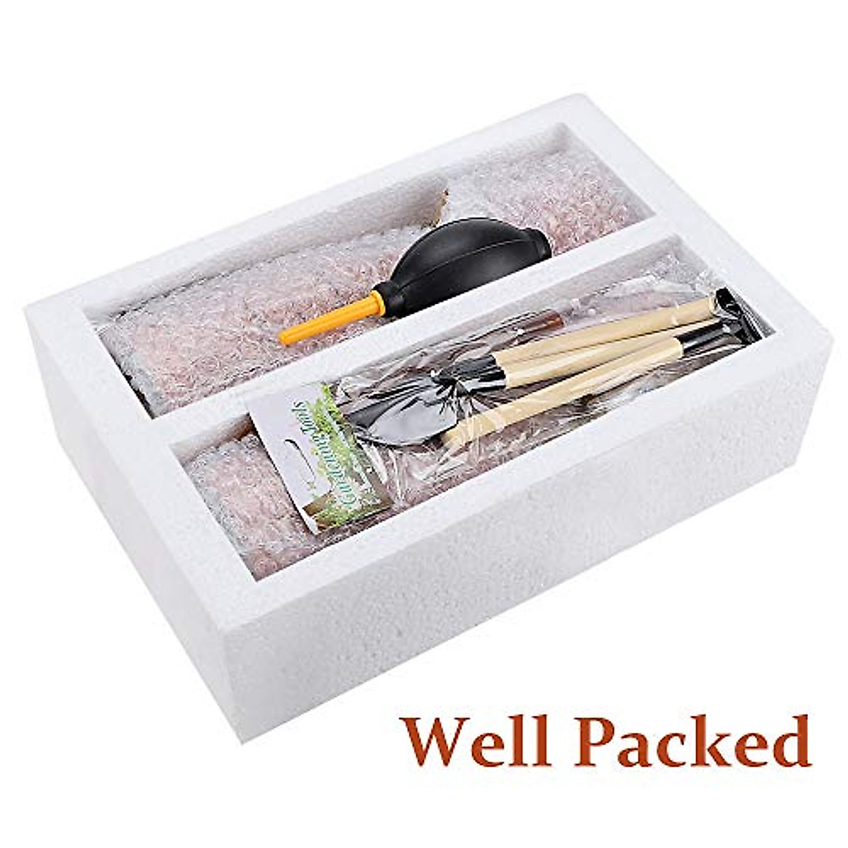 Nilos 12 Pack Terra Cotta Pots with Saucer - 12pcs 3 Inches Clay Pots with 7Pcs Succulent Tools Mini Flower Pot Planters for Succulent Display, Indoor, Outdoor, Home, Office, Wedding Decor