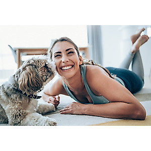 Tier1 Replacement for Holmes HWF75PDQ-U HWF75CS Humidifier filter 2 Pack