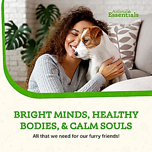 Animal Essentials Focus Lions Mane Mushroom Supplement for Dogs & Cats - Supports Brain Health, Cognitive Function, Healthy Immune Response, Mushroom Powder Extract - 1.8 Oz (Pack of 1)