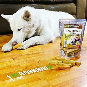 Vet Recommended Yak Chew for Small Dogs Made from Himalayan Yak Milk (20 Count / 1.54LB). The 100% Natural Healthy Dog Chew - Extreme Long Lasting Cheese Chew