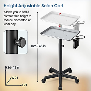 Premium Aluminum Instrument Salon Tray W/Accessory Caddy Tattoo Rolling Tray Station Height Trolley Beauty Tool