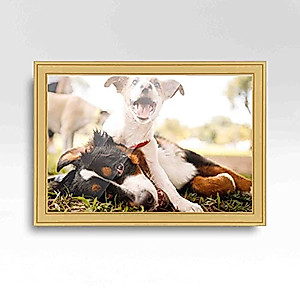 7x10 Frame Gold Real Wood Picture Frame Width 1.25 Inches | Interior Frame Depth 0.75 Inches | Fremont Gold Modern Photo Frame Complete with UV Acrylic, Foam Board Backing & Hanging Hardware