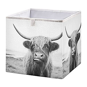 WELLDAY Storage Basket Highland Cow Foldable 11 x 11 x 11 in Cube Storage Bin Home Decor Organizer Storage Baskets Box for Toys, Books, Shelves, Closet, Laundry, Nursery