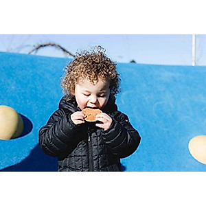 Sprout Organic Baby Food, Stage 4 Toddler Snacks, Pumpkin Butter & Jelly Wafflez, Single Serve Waffles, 0.63 Ounce (Pack of 5)