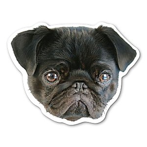 (Black) Pug Dog Magnet by Magnet America is 4.75" x 4.875" Made for Vehicles and Refrigerators