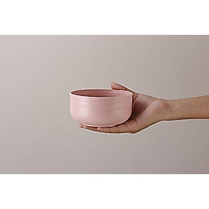 V TOWER Microwave Safe Bowls Set 13oz - 6 Wheat Straw Bowls Stylish Small Bowls Strong and Unbreakable for Dinner