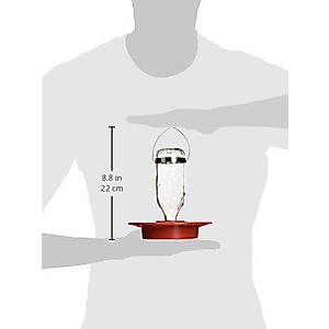 Birds Choice Best-1 8oz. Hummingbird Feeder (Pack of 2)