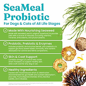 Solid Gold SeaMeal Cat Probiotic & Dog Probiotics for Digestive Health - Kelp Powder Dog & Cat Multivitamin Supplement w/Prebiotics & Digestive Enzymes for Skin, Coat, & Gut + Immune Support - 3.5oz