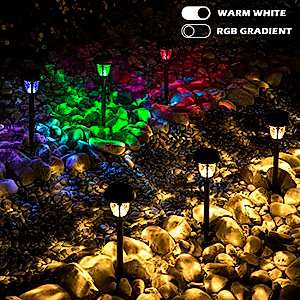 LeiDrail Solar Outdoor Lights, Solar Powered Waterproof Garden Pathway Lights with 2 Modes, RGB Changing/Warm Glass Stainless Steel Landscape Lighting for Yard Lawn Walkway - 8 Pack