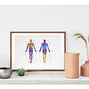 Dignovel Studios 8X10 Unframed Muscular System Human Body Anatomy Watercolor Art Print Poster Housewarming Wall Giclee Office Home Decor DN532