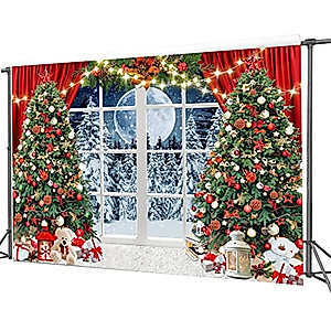CYLYH 7x5ft Winter Snow Scene Backdrop for Photography - New Year's and Christmas Party Photo Background (D806)