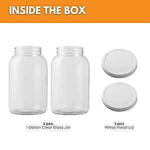 FastRack - Pack of 2 One Gallon Wide Mouth Jars with White METAL Airtight Lids, 2 Glass Jars with 2 Fermentation Lids, Ideal Glass Jars with Lid for brewing, fermentation and pickling