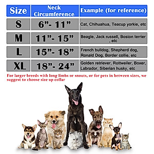 Katoggy Inflatable Dog Collar, Soft Dog Cone for Dogs After Surgery, Adjustable Blow up Donut E-Collars for Small Medium Large Dogs and Cats
