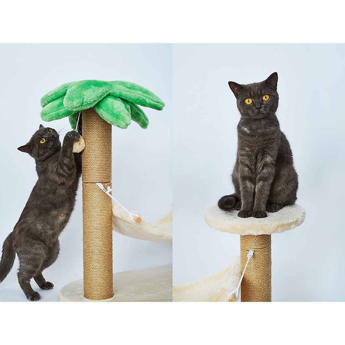 LUCKITTY Small Cat Scratching Posts Kitty Coconut Palm Tree-Cat Scratch Post for Cats and Kittens - Natural Jute Sisal Scratch Pole Cat Scratcher (Post &Hammock)