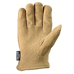 Wells Lamont Men's Thinsulate Deerskin Winter Gloves, Large (1091)