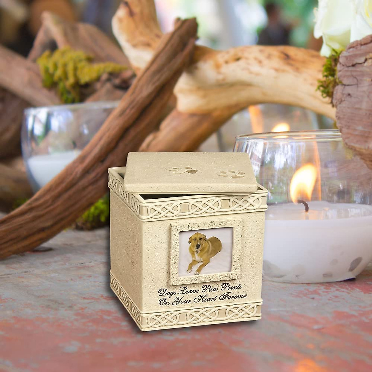 Comfy Hour 6" Porcelain Angel Star Pet Urn for Dog, Brown, Pet In Loving Memory Collection