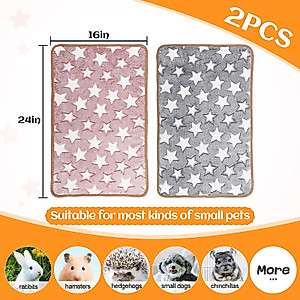 Guinea Pig Blanket, 2 Pack Warm Soft Coral Fleece Small Animal Blankets Washable Pet Cage Liners Sleep Mat Pad Cover for Rabbit Hamster Dog Cat Ferret Chinchilla Hedgehog Bedding, 24" x 16"