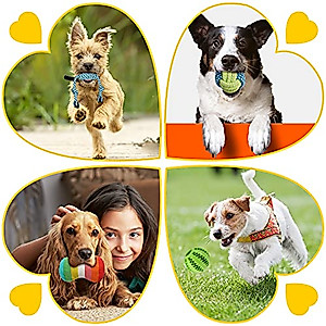 Zeaxuie 20 Pack Luxury Dog Chew Toys for Puppy, Cute Small Dog Toys with Ropes Puppy Chew Toys, Treat Ball and Squeaky Puppy Toys for Teething