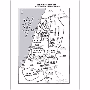 CCB (Simplified Script), NIV, Chinese/English Bilingual Bible, Hardcover, Black/Gold (Chinese Edition)
