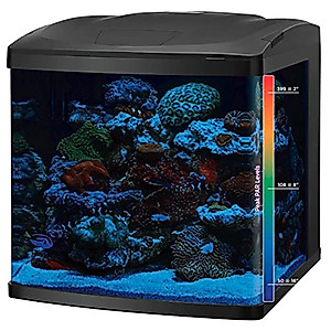 Biocube LED Tanks and Combo Kits (32 Gallon Tank/Stand Kit)