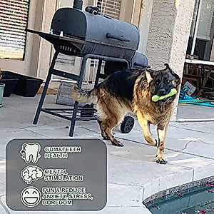 Jalousie 18 Pack Dog Squeaky Toys Cute Stuffed Pet Plush Toys Puppy Chew Toys for Small Medium Dog Puppy Pets - Bulk Dog Squeaky Toys