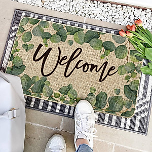 Artoid Mode Eucalyptus Summer Welcome Doormat, Seasonal Spring Summer Low-Profile Yard Floor Switch Mat for Indoor Outdoor 17 x 29 Inch
