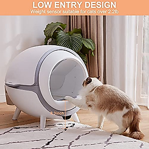 Self Cleaning, DECEMPADS Automatic,Safety Protection Extra Large Cabin Weight Sensor APP Control Timer No Scooping Smart Cat litter box Washable Cleaning Cabin