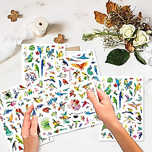 Watercolor Bird Stickers Party Favors 730 Counts Animal Jungle Woodland Tropical Birds Flamingo Parrot Stickers Gift Water Bottle Scrapbook Laptop Planner Stickers Kids Boys Girls Birthday Party
