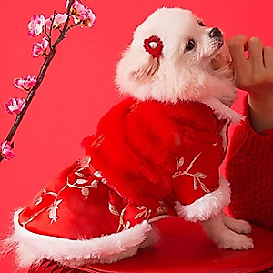 JYDQM Tang Suit Coat Dog Clothes Jacket for Dogs Clothing Pet Outfits Small Cute Winter Warm (Color : Red, Size : M Code)
