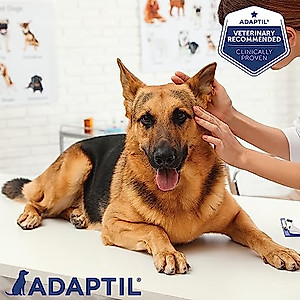 ADAPTIL Spray 60 mL – Calms & Comforts Dogs During Travel, Veterinary Visits and Stressful Events - The Original D.A.P. Dog Appeasing Pheromone Spray, 60ml - Packaging May Vary
