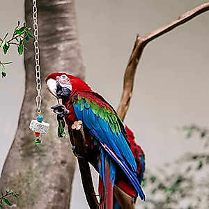 Ipetboom Parakeet Toys Parrot Toy Bird Chewing Perch Wooden Bird Hanging Swing Ferris Pet Parrot Chewing Toys for Parrot Sparrow Parakeet Canary Cockatiel () Parakeet Toys Parrot Toys