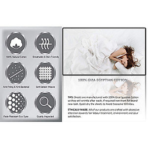 Femini Fashion My Egyptian Giza Cotton Sheets King Size, 16 Inches Extra Deep Pocket, 100% Giza Long-Staple Giza Cotton Bedsheet Soft Breathable Dream Sheets - Light Grey