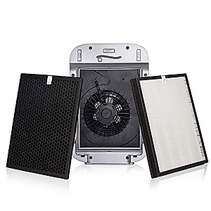 Climestar Premium H13 Grade True HEPA and Pre-Filters Compatible Replacement for Alexapure Breeze Air Purifiers AP-B102 and 3049 filter set