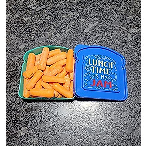 Pack of 6 Food Storage Sandwich Containers, 2 cups / 16 oz / 490 ml - 3 Different Designs. Great for Meal Prep. Kids or Adult Lunch Box - BPA Free and Reusable