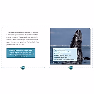 My First Book of Ocean Animals: All About Marine Wildlife for Kids