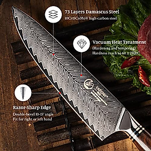 YARENH Damascus Chef Knife 8 Inch with Sheath, Professional Kitchen Knife, 73 Layers Japanese Damascus High Carbon Steel, Full Tang Sandalwood Handle, FYW Series