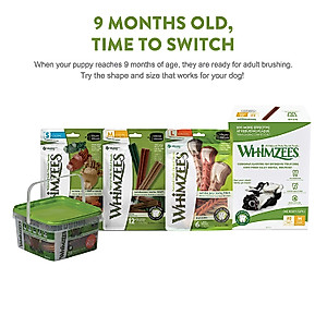 Whimzees 3 Pack of Puppy Daily Dental Treats, 14 Sticks Each, for Medium to Large Puppies