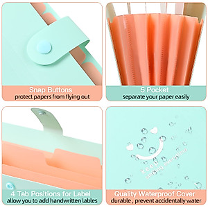 Animusphere A4 File Folders Accordion File Organizer Folders with Pockets Aesthetic Paper Organizer Folder for School Office (Jade)