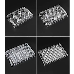 6 Well Culture Plate - Culture Plate 6 Well - with Lid, Flat Bottom, Individual Pack (Pack of 10)