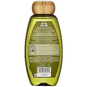 Garnier Whole Blends Replenishing Shampoo Legendary Olive, Dry Hair, 12.5 fl. oz.